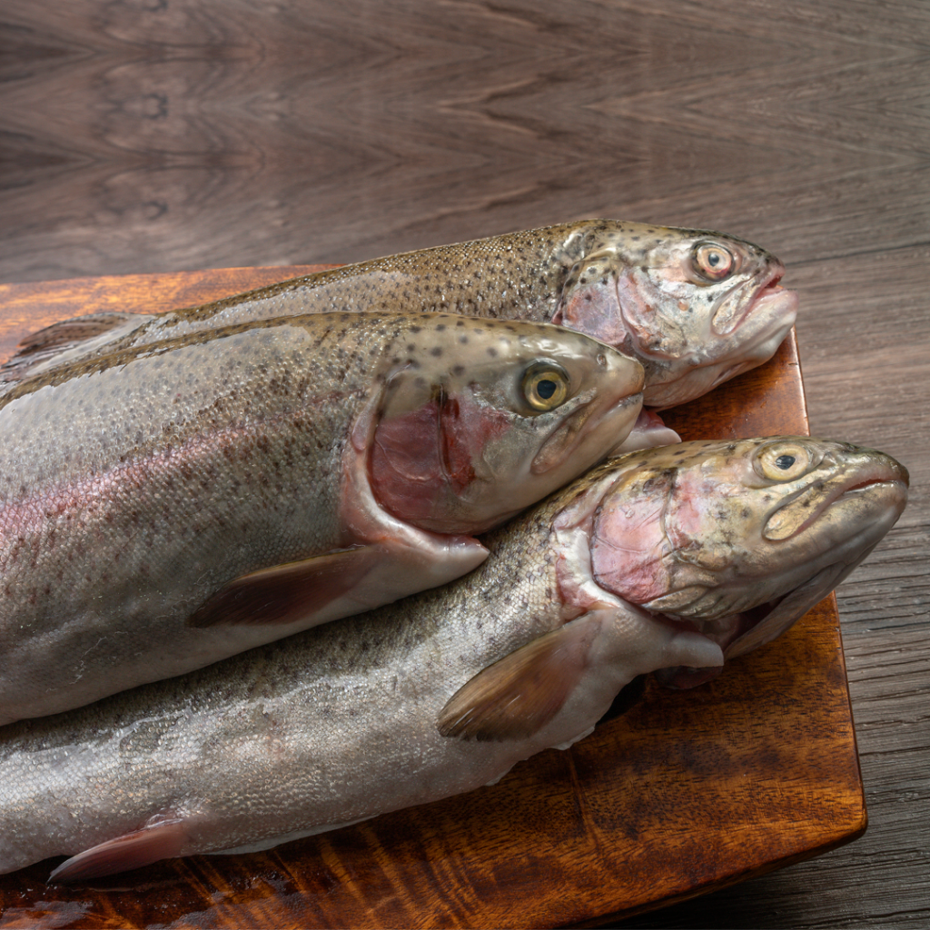 Atún Aleta Azul – Sargazo