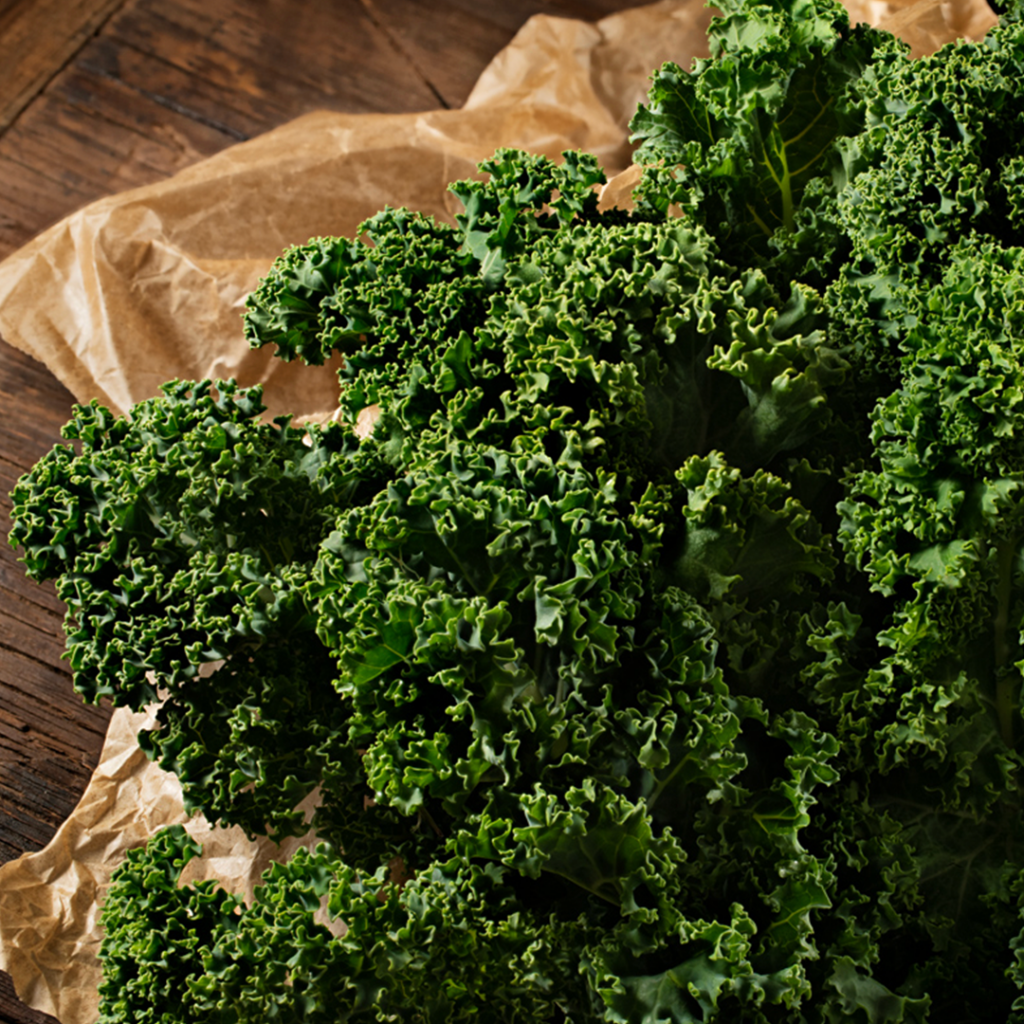 Kale Rizado – Sargazo